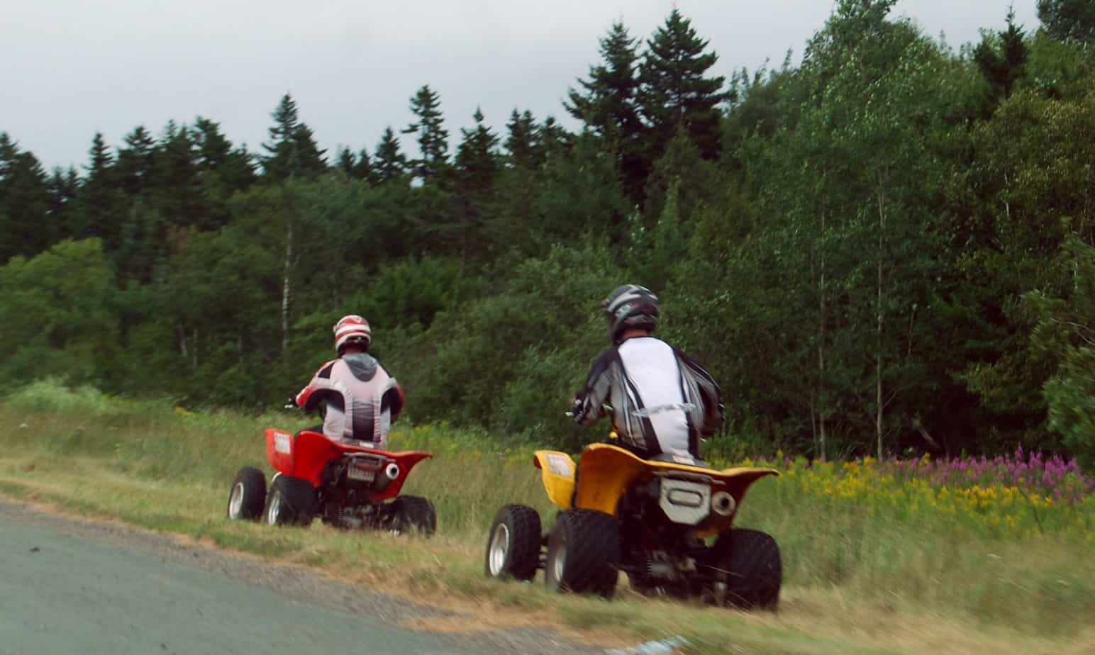 What Is a UTV - All You Need to Know Before Acquiring One - Motor ...